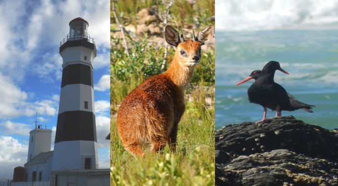 Nelson Mandela Bay - Cape Recife Nature Reserve - Free Guided Tour