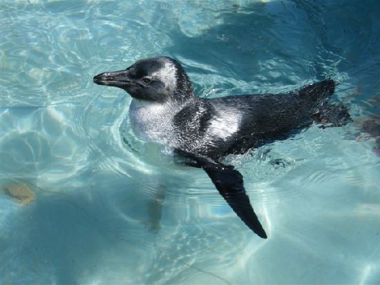 Nelson Mandela Bay - Sa Marine Rehabilitation Education Centre