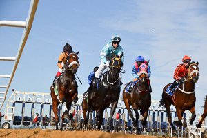 Event: Fairview Racecourse Horseracing - Nelson Mandela Bay (Port ...