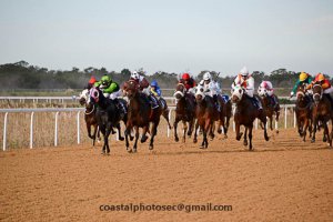 Event: Fairview Racecourse Horseracing - Nelson Mandela Bay (Port ...
