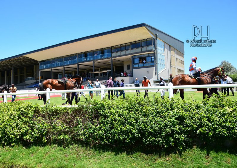 Event: Fairview Race Course - Horseracing - Nelson Mandela Bay (Port ...
