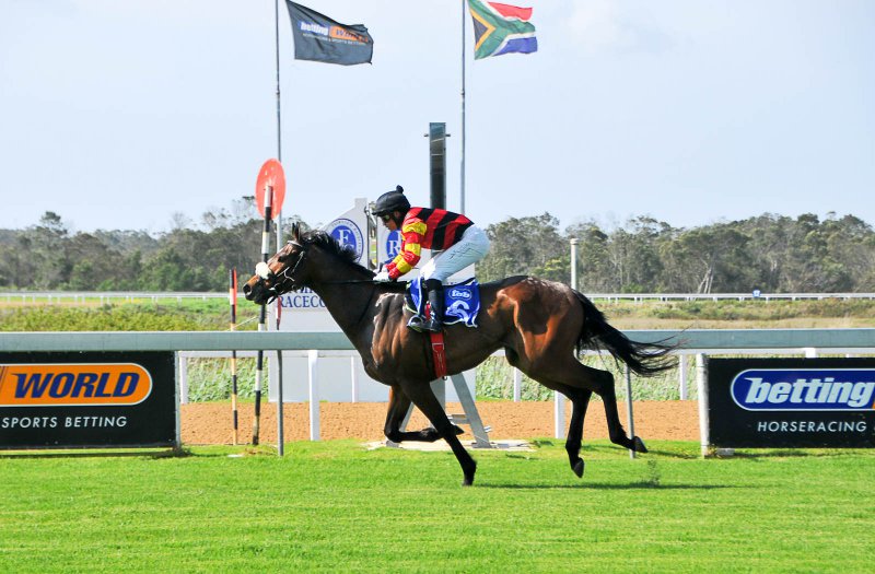 Event: Horseracing - Fairview Racecourse - Nelson Mandela Bay (Port ...