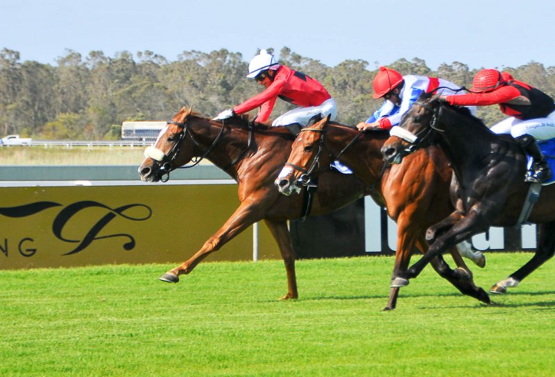 Event: Horseracing - Fairview Racecourse - Nelson Mandela Bay (Port ...