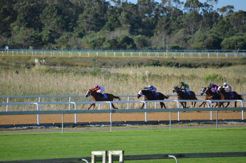 News Article - HORSERACING AND FAMILY FUN COMES TO FAIRVIEW RACECOURSE ...