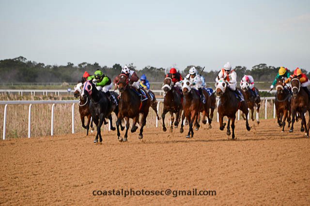 Event: Live thoroughbred horseracing at Fairview Racecourse - Nelson ...