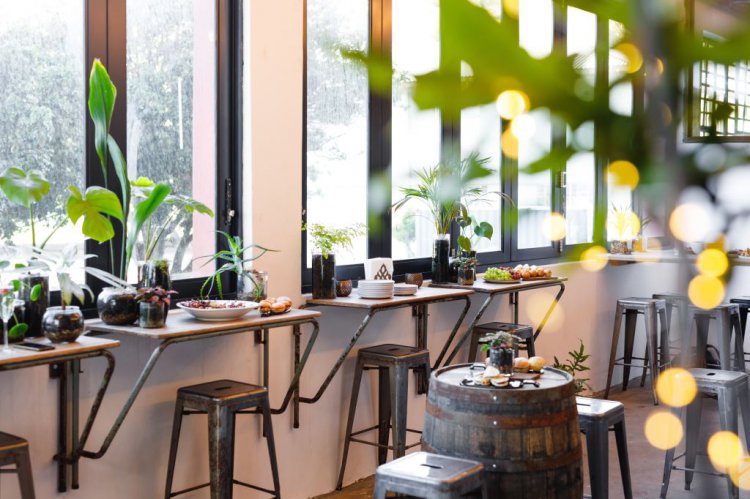 Collab Cafe - Nelson Mandela Bay (Port Elizabeth)