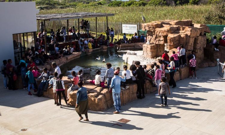 SANCCOB Gqeberha - Nelson Mandela Bay (Port Elizabeth)